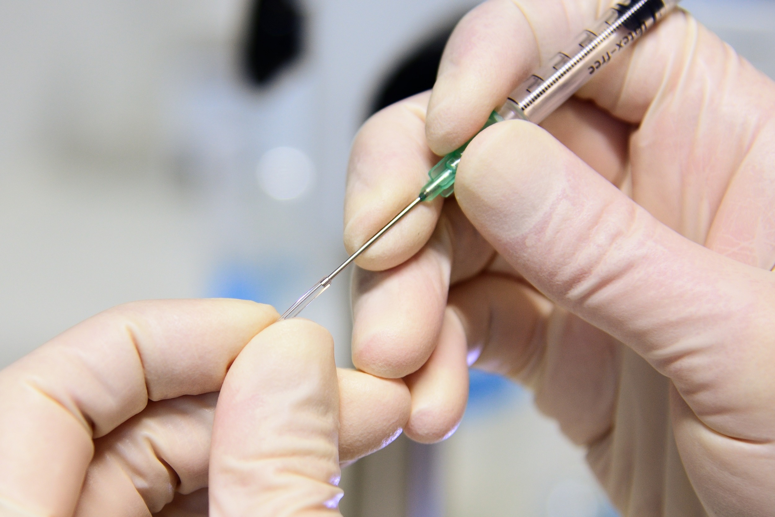 Sample mounting – Huisken Lab