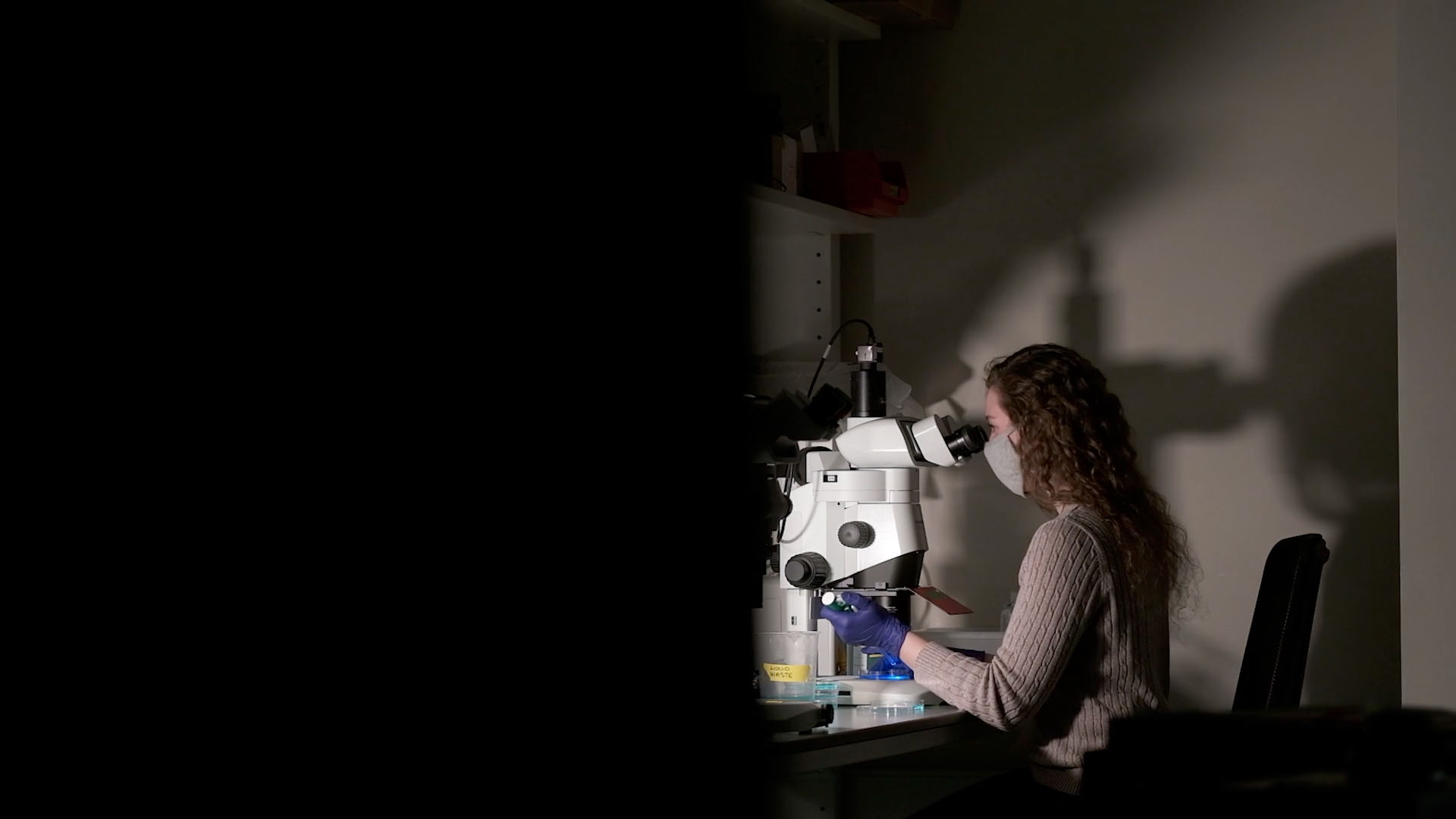 Huisken Lab – Creating tailor-made optical microscopes to non ...